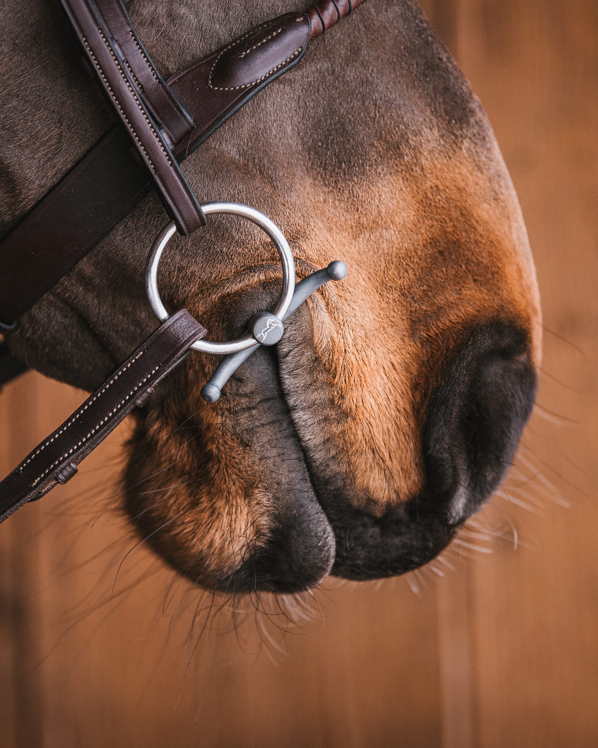 Sidepieces Guide – Fager Bits USA